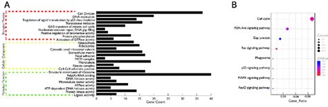 Functional Annotation Analysis Of Degs A Gene Ontology Enrichment Download Scientific
