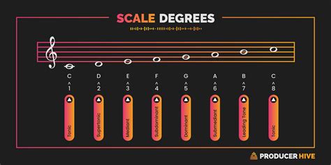 Scale Degrees