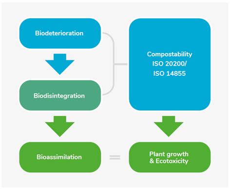 What Is The Difference Between ‘biodegrading And ‘composting Nera