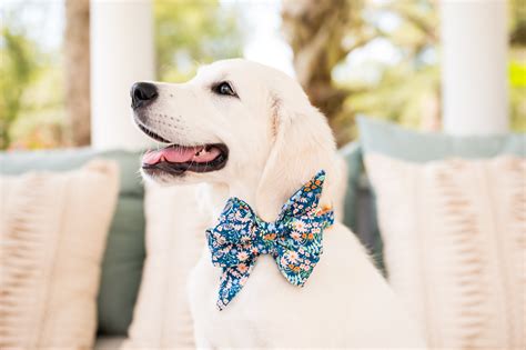 Florals And Fruits Belle Bow Collars Crew Lala