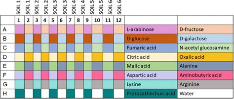 Microplate Layout Of Substrates This Is A Plate Layout Where 15