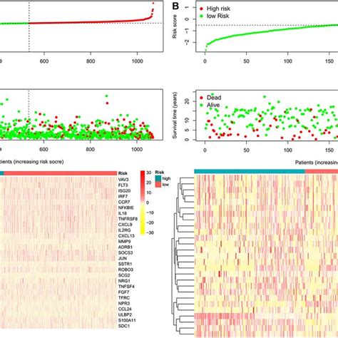The Heatmap And Distribution Of The 27 Genes Expression Profiles In The