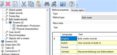 General Topics Configuring The Bulk Create Records Option