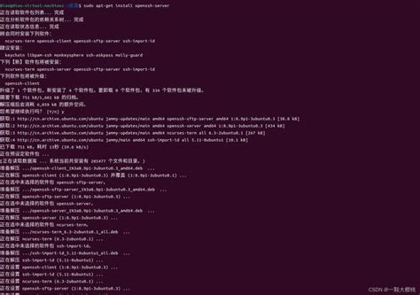 解决ubuntu Ssh安装报错指南 Hcrm博客