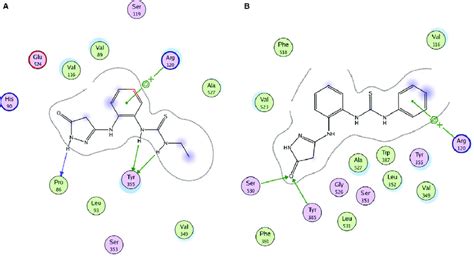 2d Representation Of The Expected Binding Modes Of Compounds A 2a Download Scientific