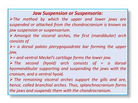 Jaw Suspension In Vertebrates Autosaved Pptx