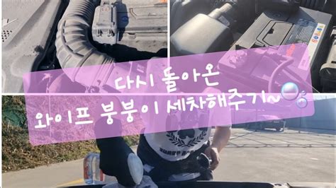 23 엔진룸 세정만 1시간 걸렸던 세린이의 와이프 붕붕이 세차해주기 영상입니다~ Youtube