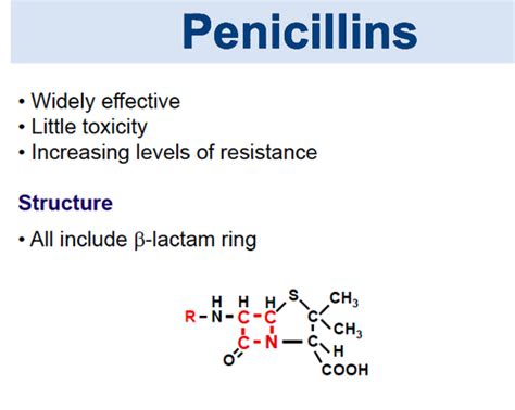 Pcn Bacterial Cell Wall 1 Flashcards Quizlet