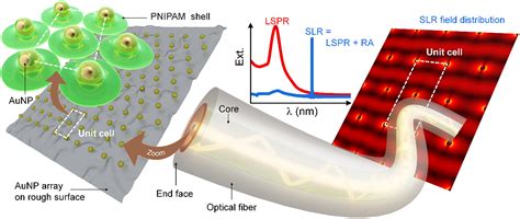 Self‐assembly Of Plasmonic Nanoparticles On Optical Fiber End Face Kularia 2023 Journal Of