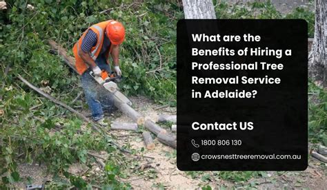 Benefits Of Hiring A Professional Tree Removal Service In Adelaide
