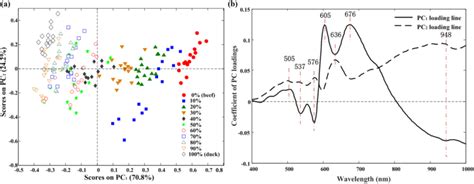Analysis Of Pc Scores And Loadings With Raw Spectra A Pca Score Plot Download Scientific