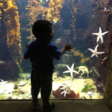 Because You Cant Flush A Cocker Spaniel Im Not Grandpa