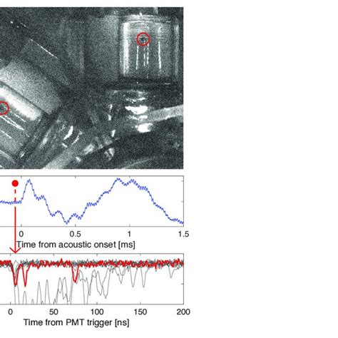 Sample Nuclear Recoil Event From The Prototype Xenon Bubble Chamber Download Scientific Diagram