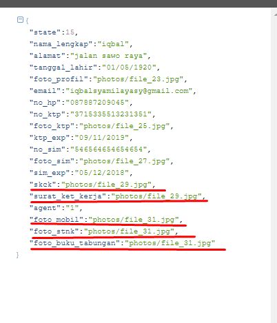How To Set Message GetPhoto To Null Issue Php Telegram Core GitHub