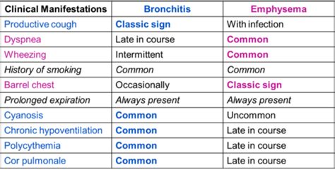Ch 13 Flashcards Quizlet