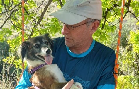 Tessies Tale The Wandering Dog Who Knew Exactly Where She Belonged