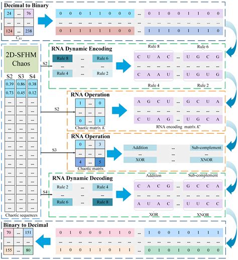 Dynamic Rna Coding Color Image Cipher Based On Chain Feedback Structure