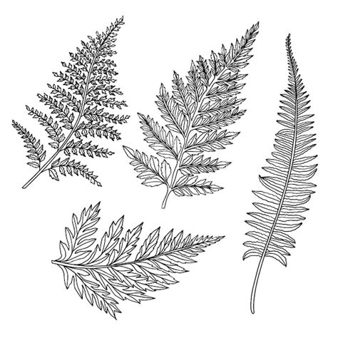 Printable Silver Fern Stencil Printable Stencils