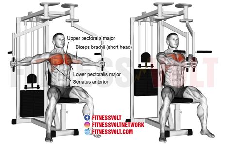 Pec Deck Guide Muscles Worked How To Benefits Tips And