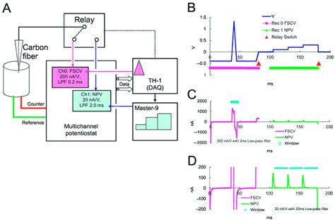 A Dual Voltammetry B Circuit For The Dual Voltammetric Techniques