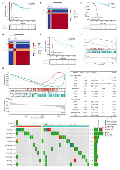 【amm最新研究】细胞衰老相关的lncrna识别与前列腺癌患者预后和雄激素反应 知乎