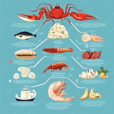 Seafood Chart With Different Kinds Of Shellfish Crustaceans And Fish
