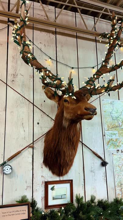 Grant Ingram On Linkedin Great Local Business In Lubbock Support Small