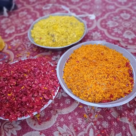 Deepthi Cherukuri Dcherukuri • Instagram Photos And Videos