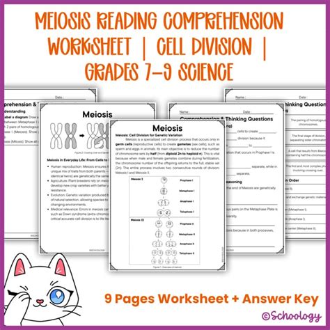 Meiosis Reading Comprehension Worksheet Cell Division Grades 7 9
