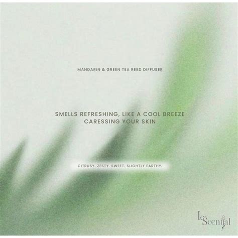 Jual Reed Diffuser Refill 60ml And Reed Diffuser Stick 5pcs Dijual