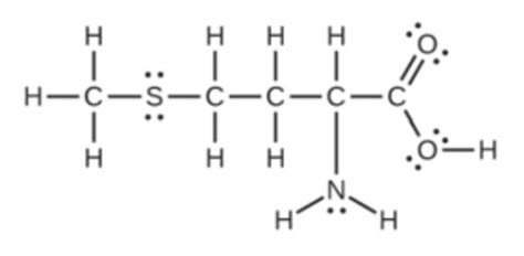 Nh2co2h Lewis Structure