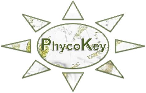 Phycokey Logo