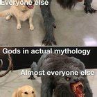 Odysseus Crew Rgreekmythology
