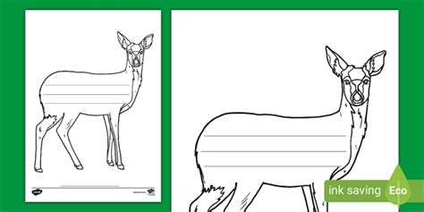 Doe Writing Template Linsegnante Ha Fatto Twinkl