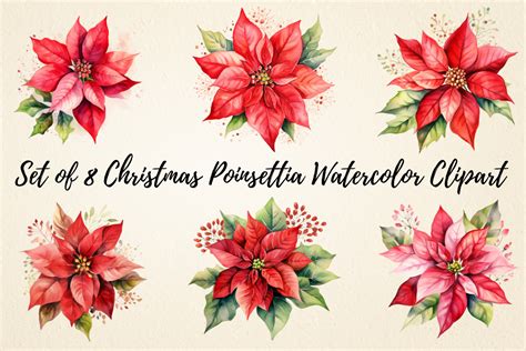 Christmas Poinsettia Watercolor Clipart Graphic By Pcudesigns · Creative Fabrica