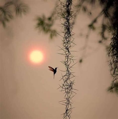 Jannatul Naima Alam Jenni