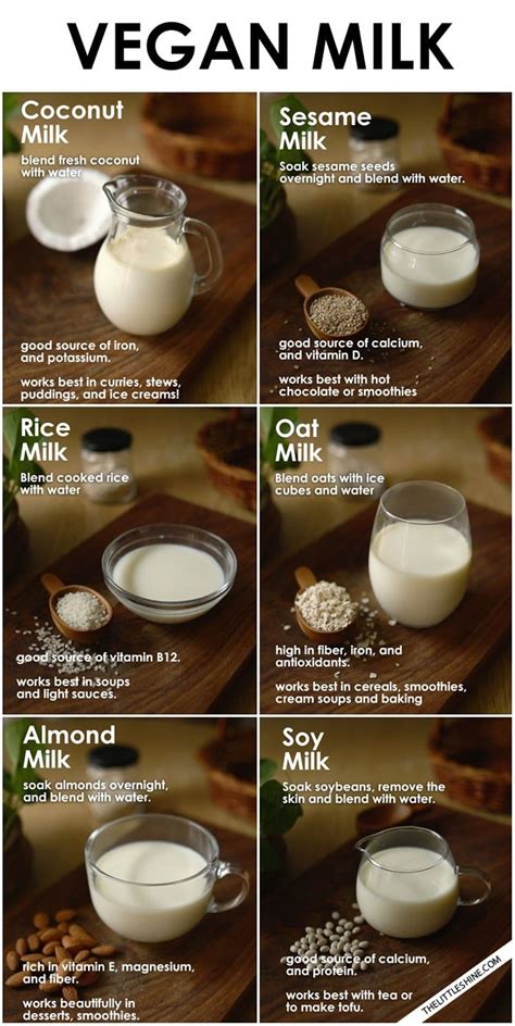Healthy Plant Based Milk Recipes