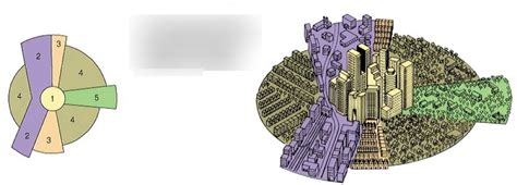 Aphug Sector Model Hoyts Model Diagram Quizlet