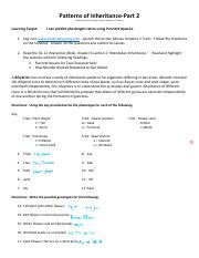 Understanding Patterns Of Inheritance In Genetics Course Hero