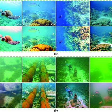 Visibility Restoration Of Underwater Degraded Images A Blue Tone