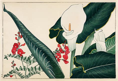 Unknown Japanese Floral Woodblock Print 5 For Sale At 1stdibs