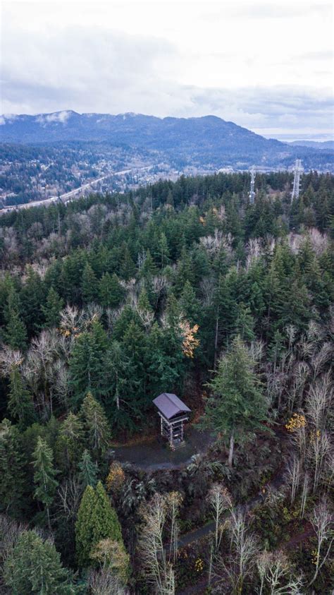 Fall Foliage Walks In Bellingham And Whatcom County Bellingham