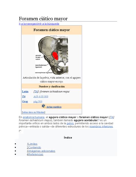 Contenido Del Agujero Ciático Menor Pelvis Promontorio Agujero