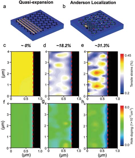 Ab Schematic Diagrams Of Graphene Plasmon In Ordered And Disordered