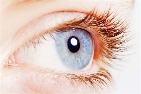Very Light Blue Eye Countries With The Most Blue Eyed People