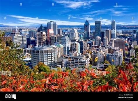 Omni Mount Royal Montreal