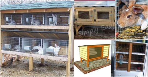 Rabbit Farming Cage Design In Canada At Michael Salazar Blog