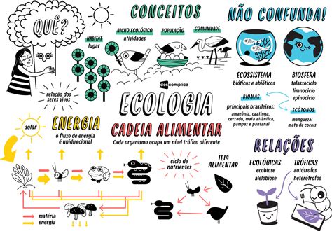 Mapa Mental Sobre Ecossistema Retoedu