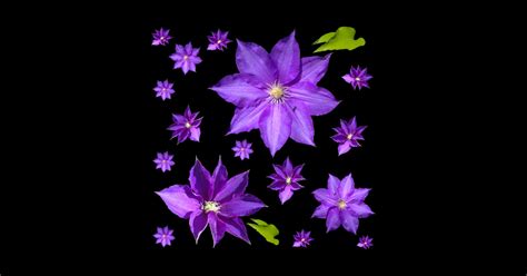 Purple Clematis Pattern Clematis Sticker Teepublic