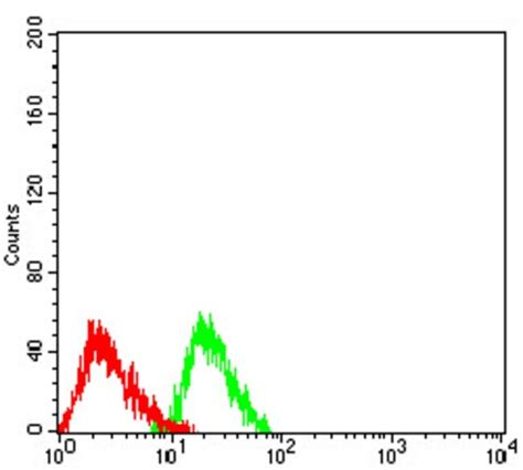 Rbfox2 Monoclonal Antibody 1e7g10 Invitrogen 100 μg Unconjugated